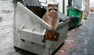 Dreaming of Anarch: System Update 2021 Art Blog - Null Signal Games