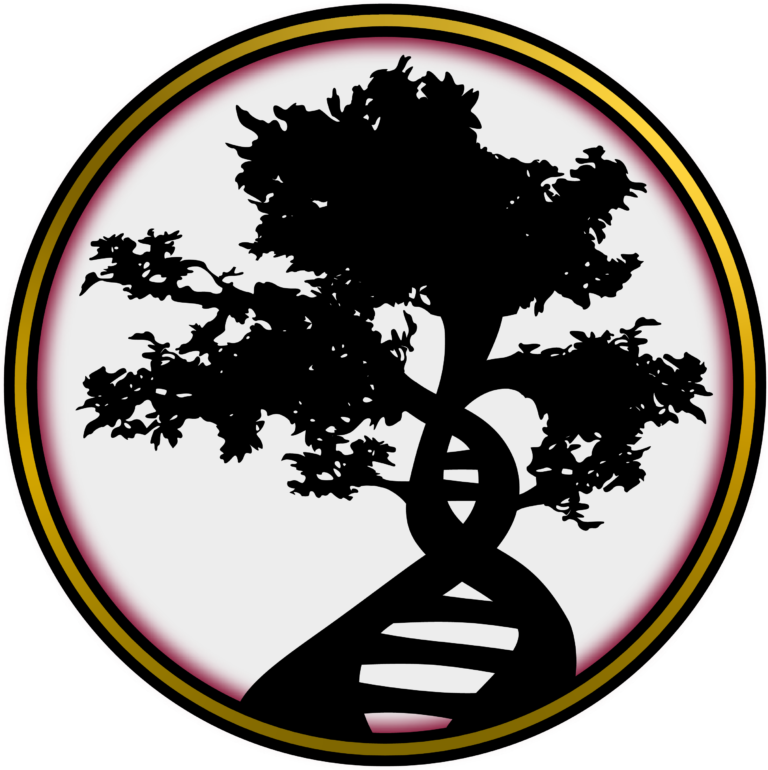 新手指南：公司篇 - Null Signal Games